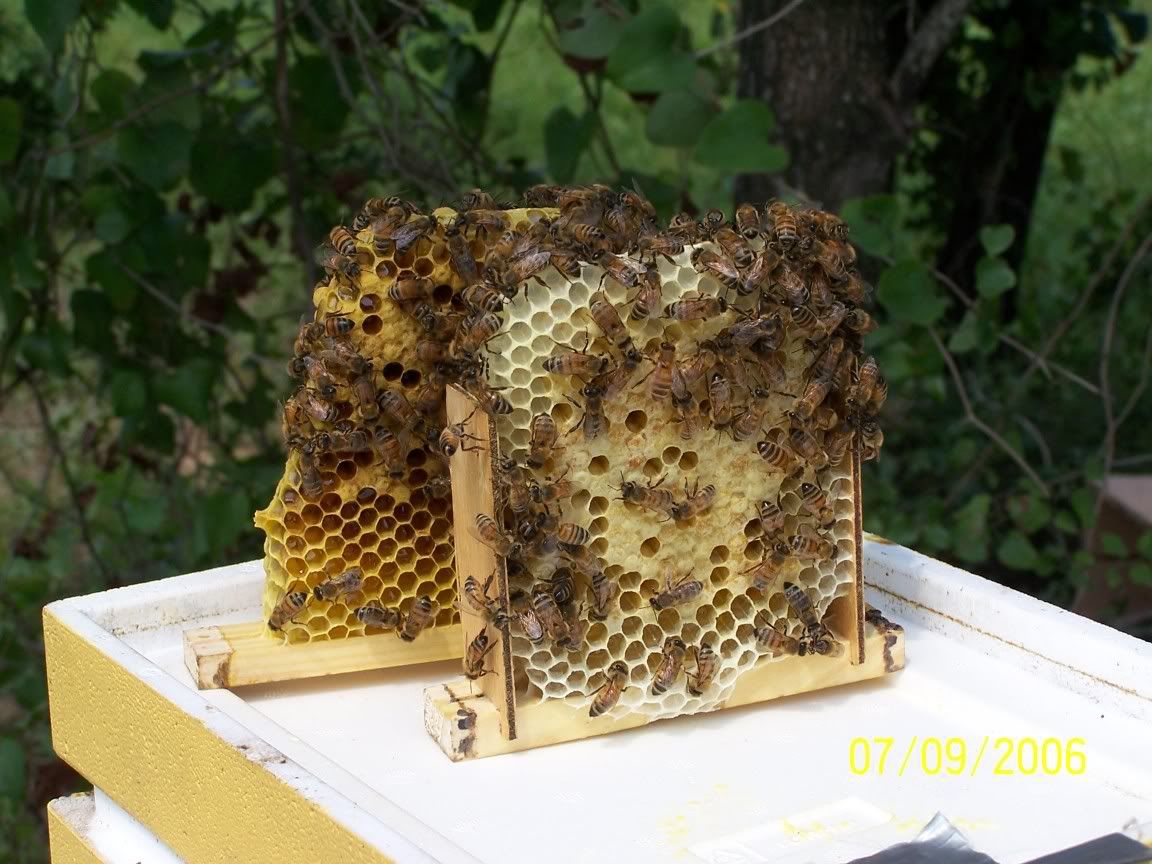 Mini Mating Nuc | Beesource Beekeeping Forums