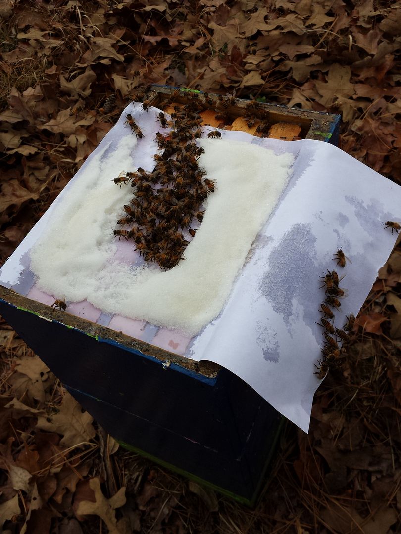 mini mating nuc frames | Beesource Beekeeping Forums