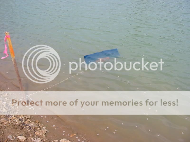 GSH spawning mats - Pond Boss Forum