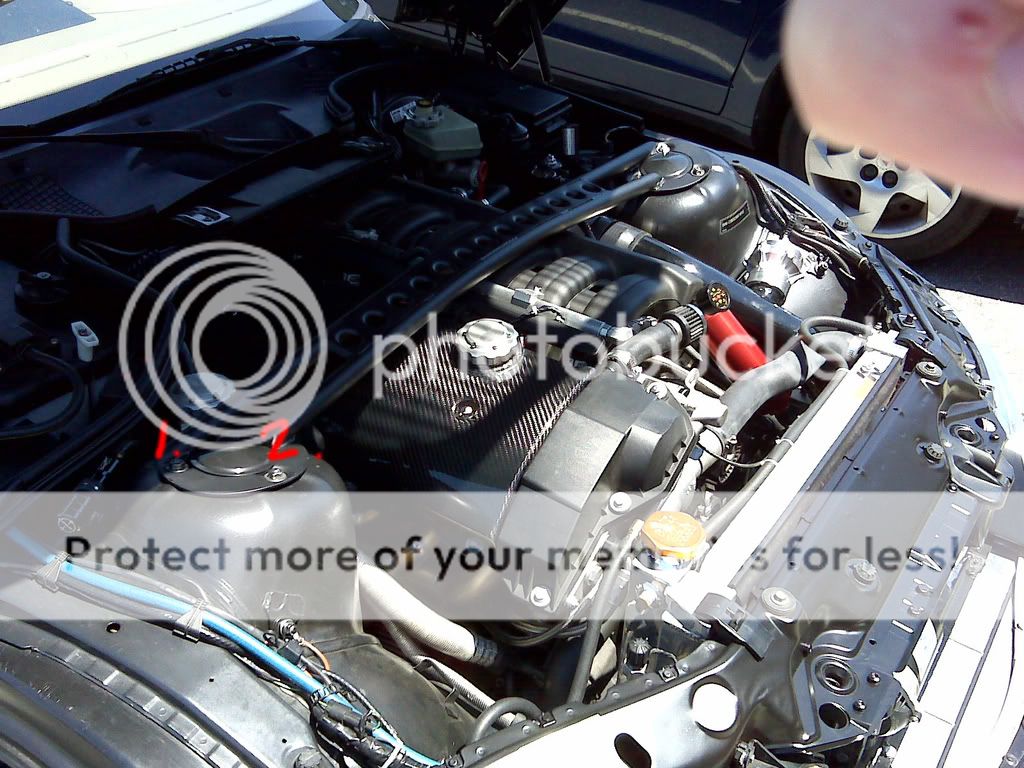 Mason Strut GB still alive + well