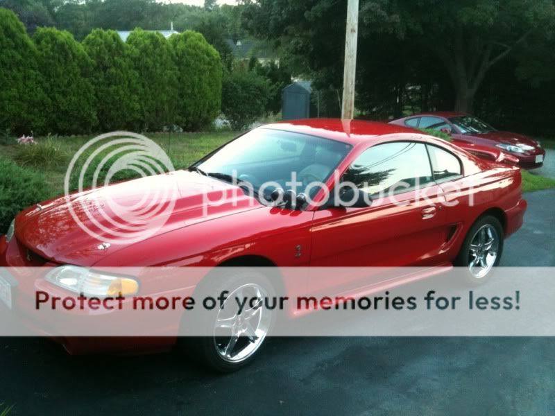 1995 Mustang Cobra SVT | Ford Mustang Forums