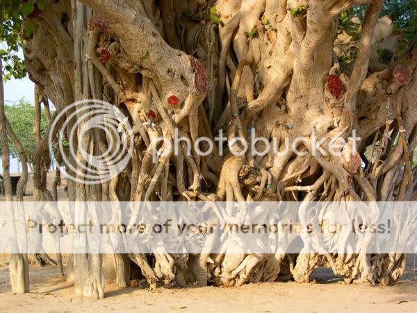 TEHRAN/IRAN PICTURES | Page 3 | SkyscraperCity Forum